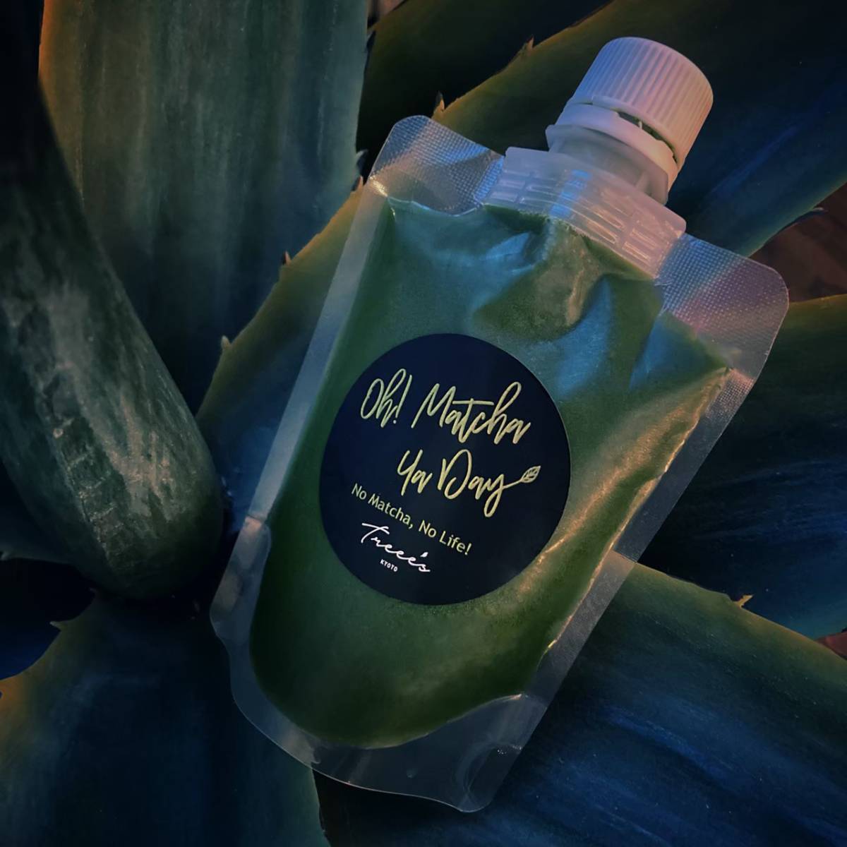 Oh！Matcha Ya Day｜TREEE'S Online Shop
